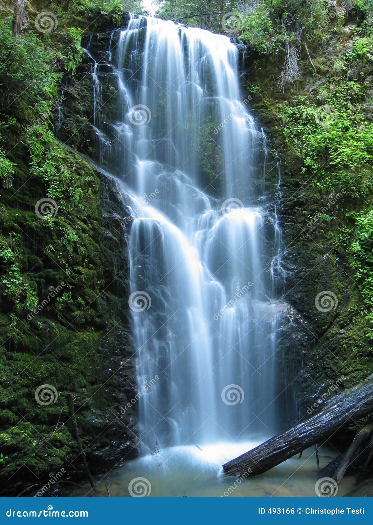 Berry Creek Falls stock photo. Image of stone, basin, scenery - 493166