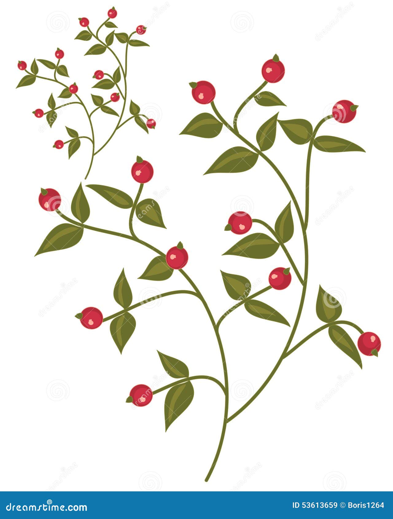 Berry design stock vector. Illustration of white, outdoors - 53613659