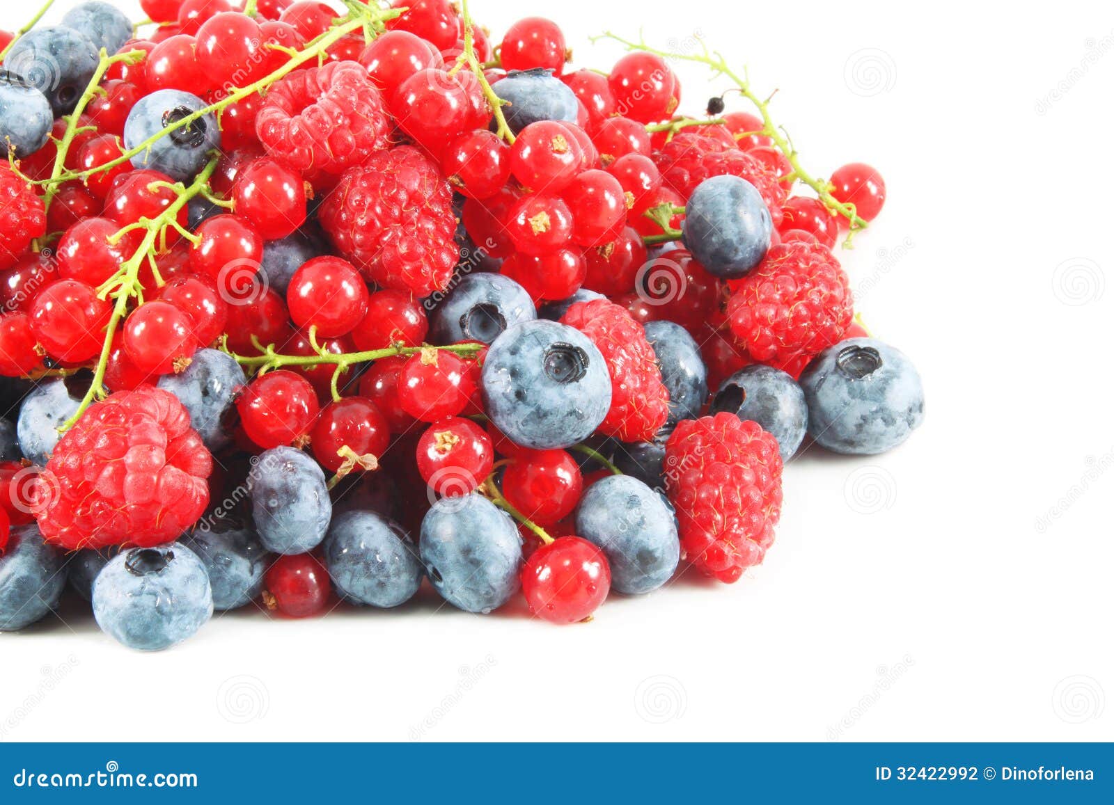 Berry, Different Kinds of Berries Stock Photo - Image of nature ...