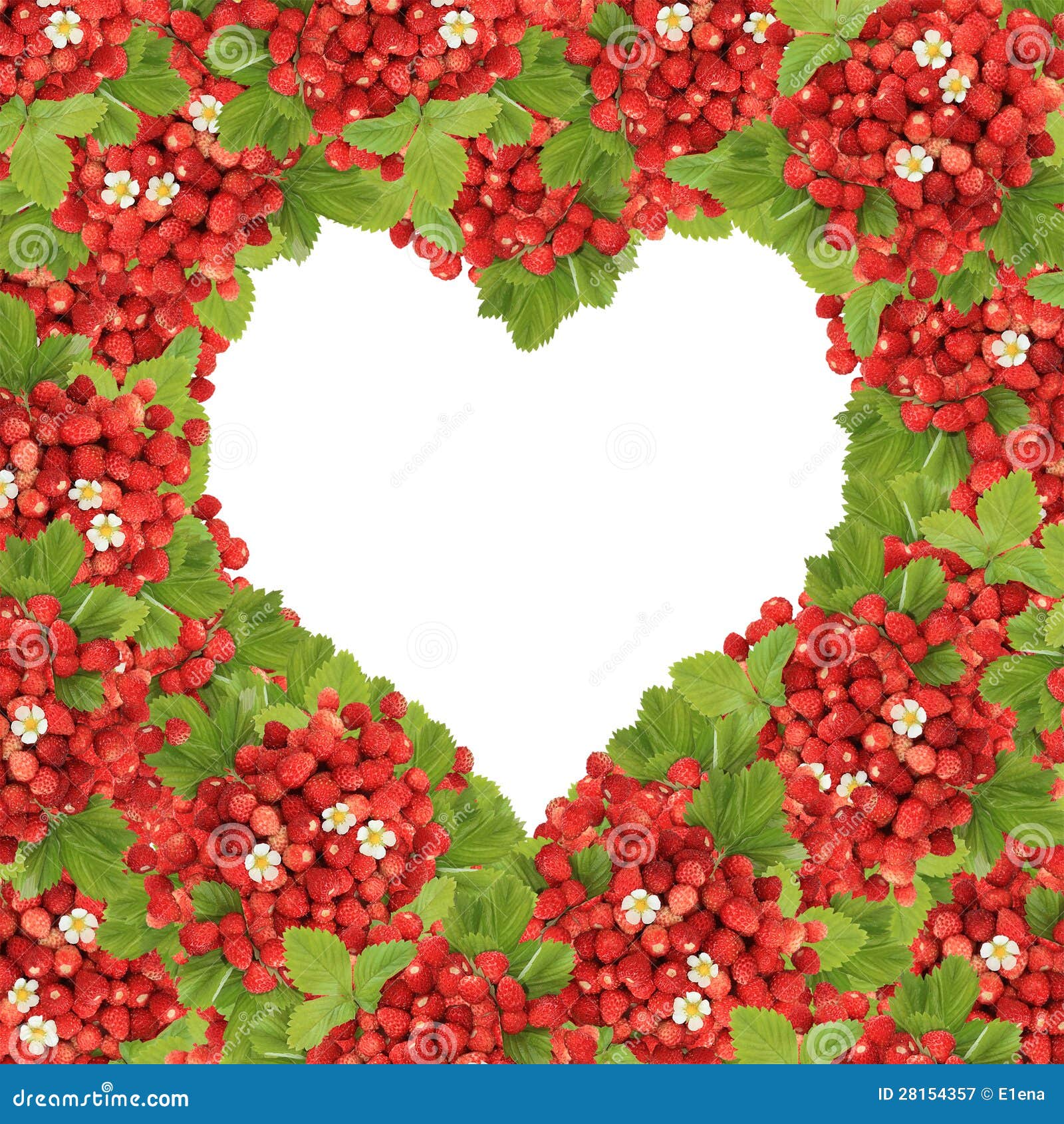 Berry frame stock image. Image of herbal, decor, berries - 28154357