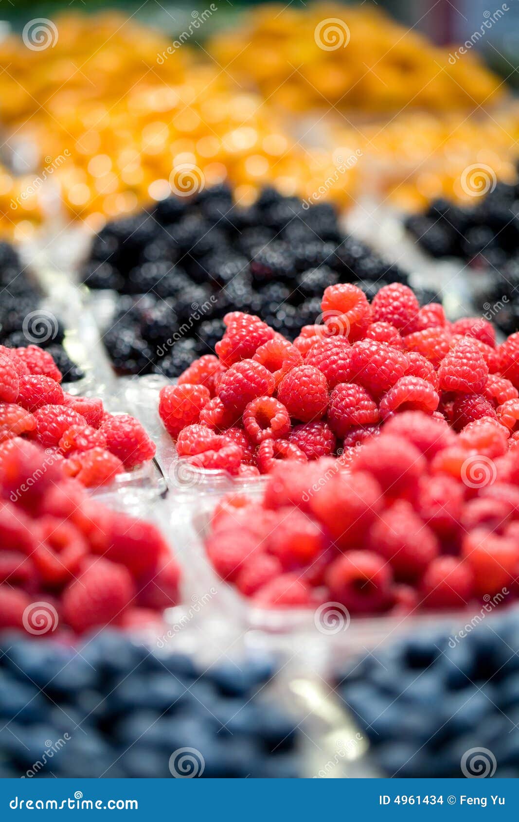 Berry Fruit And Cherry On The White Floor. Berry Is A Small Roundish ...