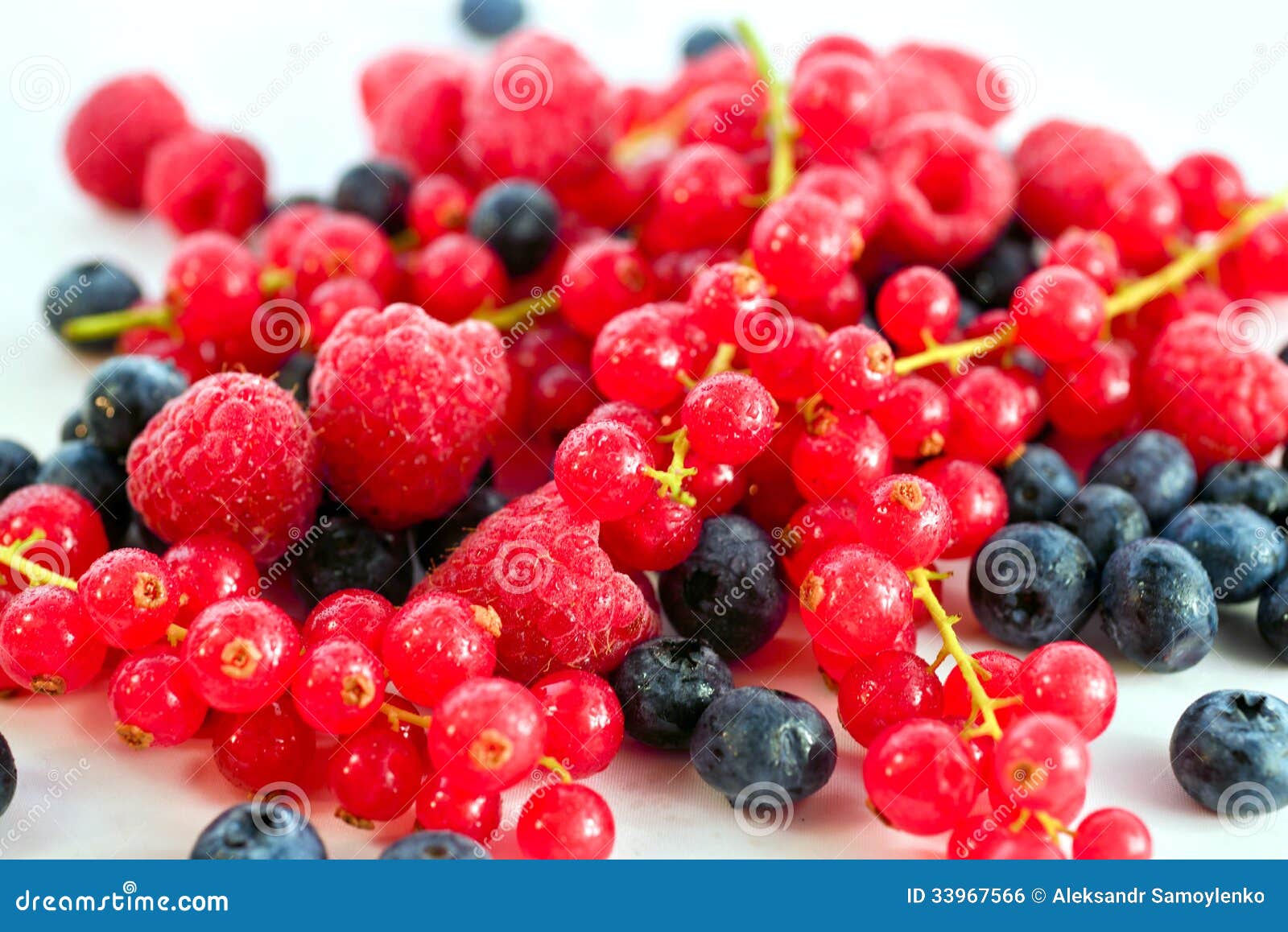 Berry fruit assortment stock photo. Image of bilberry - 33967566