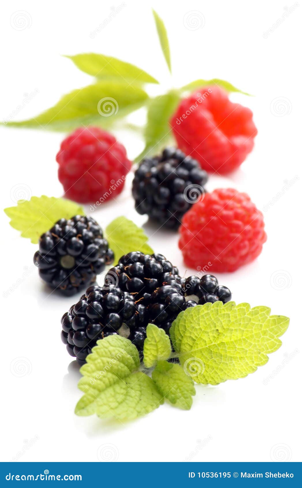 Berry fruits stock image. Image of mellow, delicious - 10536195