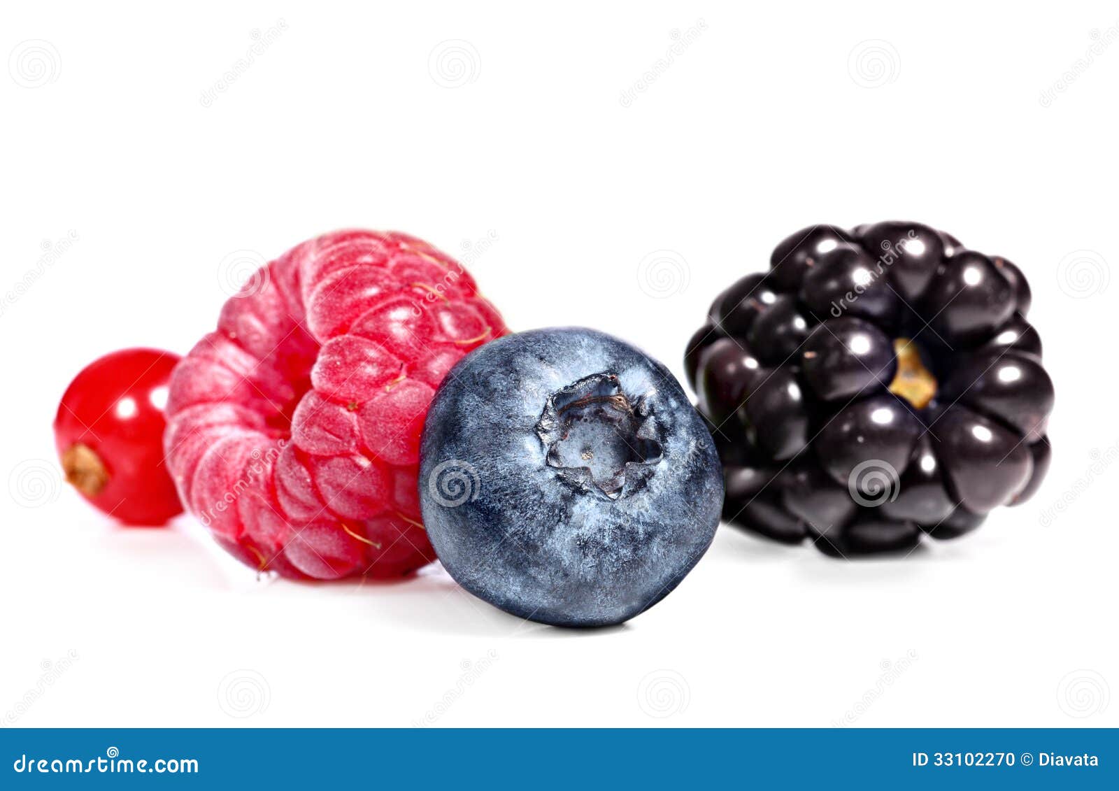 Berry fruit stock photo. Image of background, blackberry - 33102270
