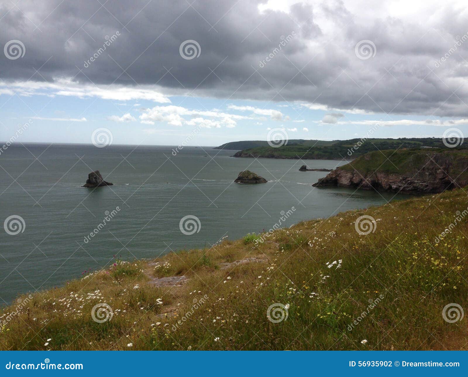 Berry Head, Brixham, Devon stock photo. Image of berry - 56935902