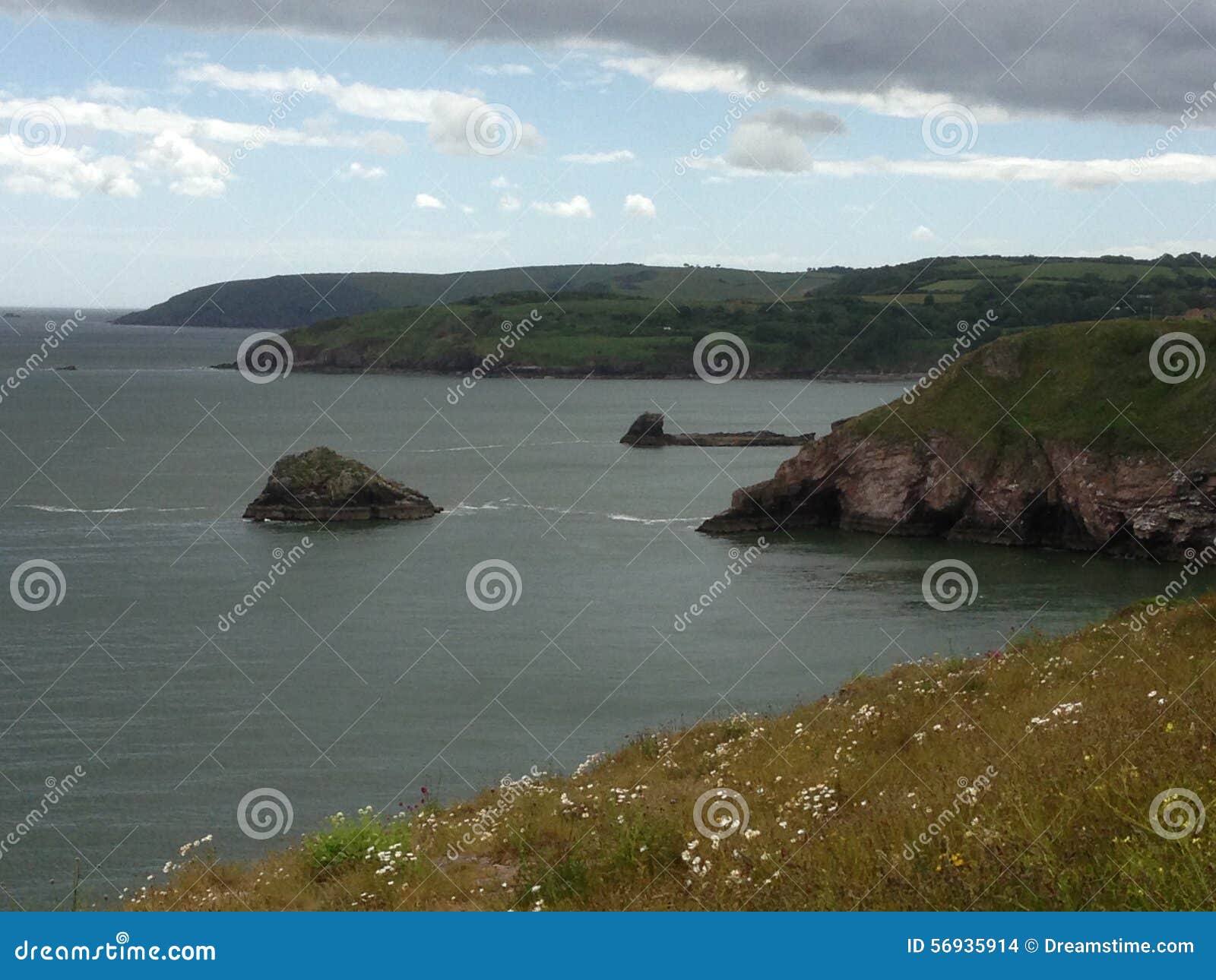 Berry Head, Brixham, Devon stock photo. Image of british - 56935914