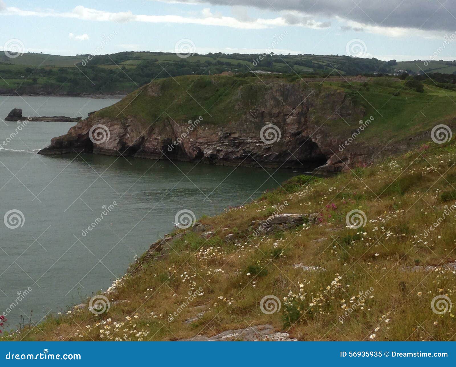 Berry Head, Brixham, Devon stock image. Image of coastline - 56935935