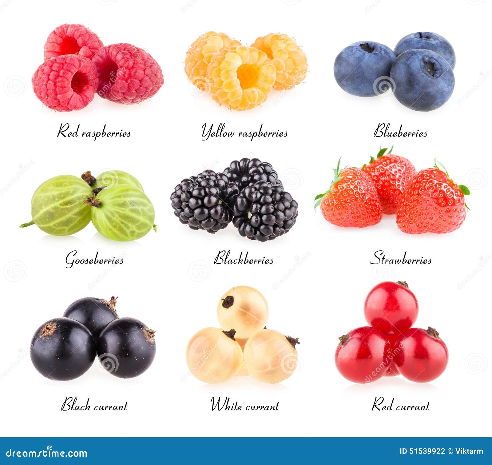 Berry images collection stock photo. Image of food, blueberry - 51539922