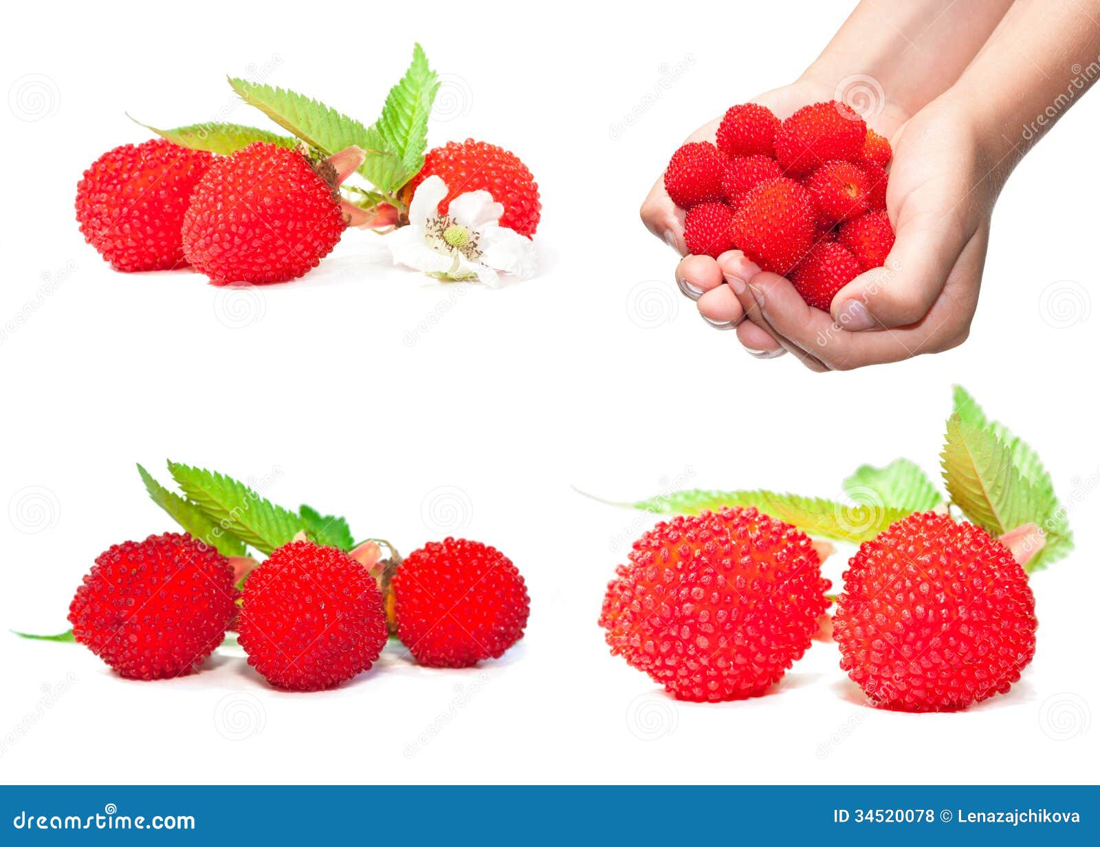 Berry images set stock photo. Image of health, organic - 34520078