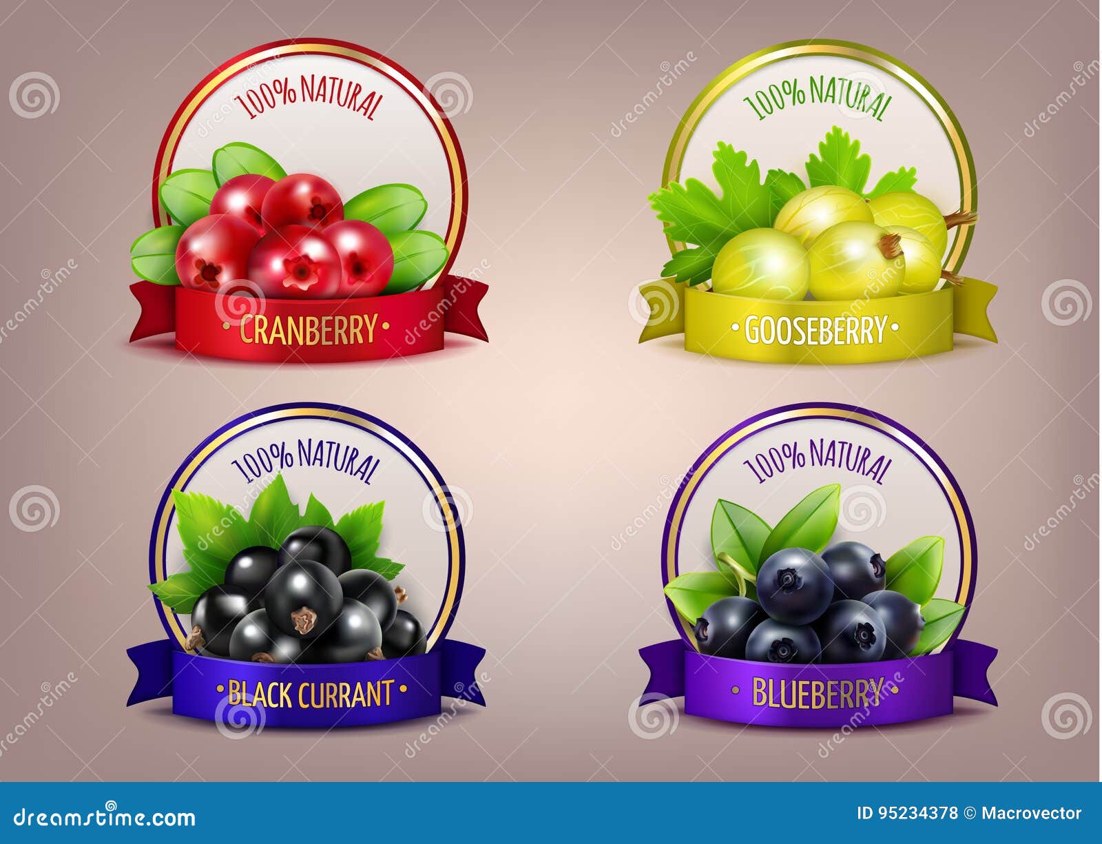 Berry Labels Realistic Eco Collection Ilustración del Vector ...