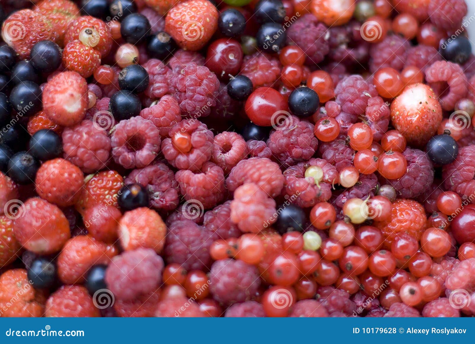 Berry mix stock photo. Image of currant, berries, ripe - 10179628