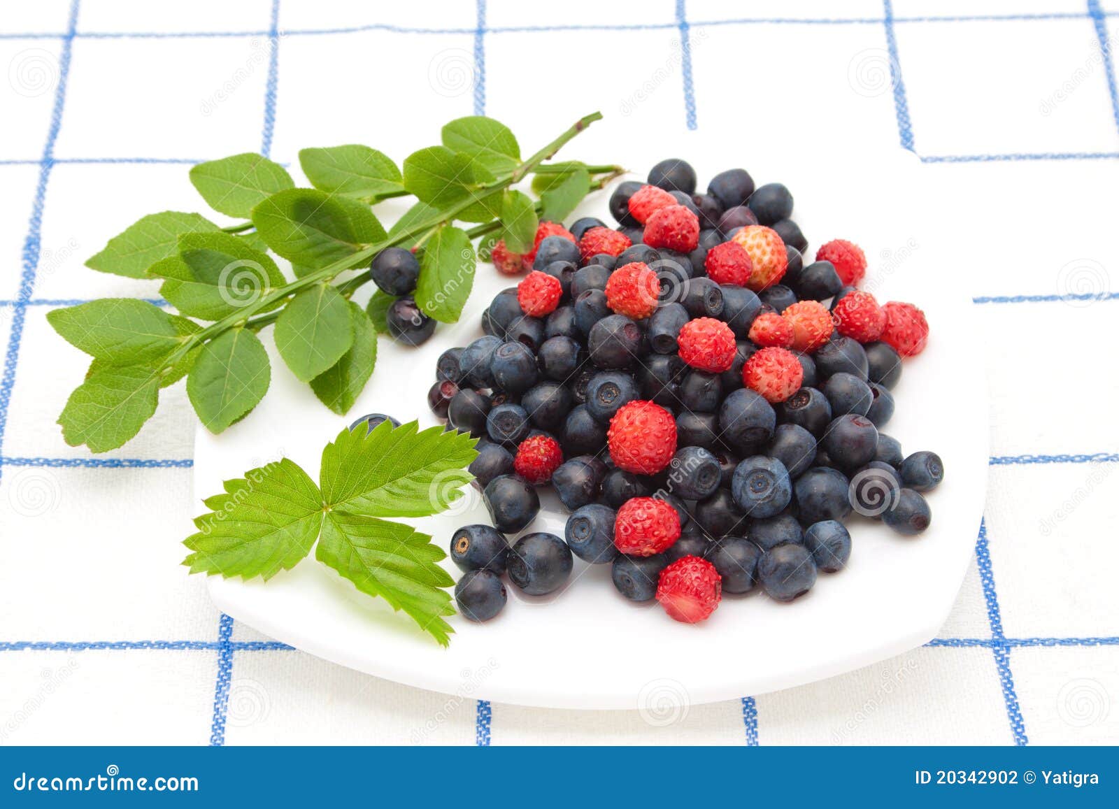 Berry mix stock photo. Image of black, fresh, leaf, berry - 20342902