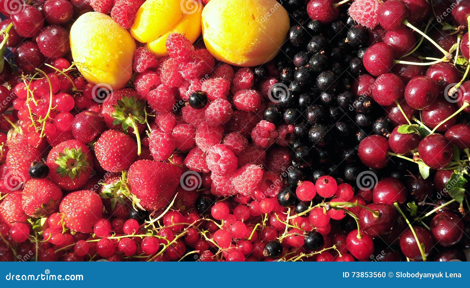 Berry mix stock photo. Image of assortment, berries, eating - 73853560