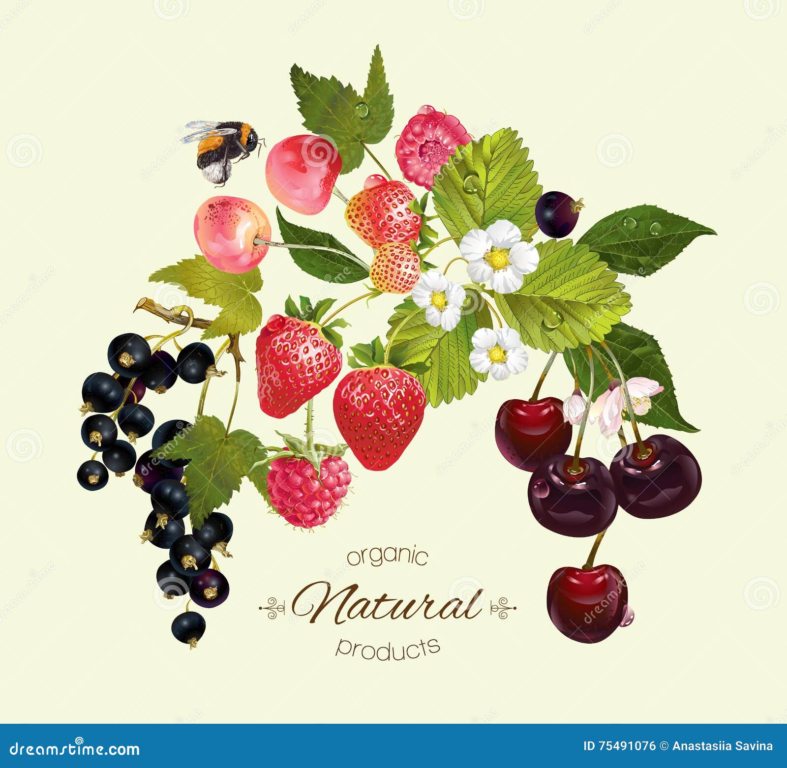 Berry mix composition stock vector. Illustration of blackberry - 75491076