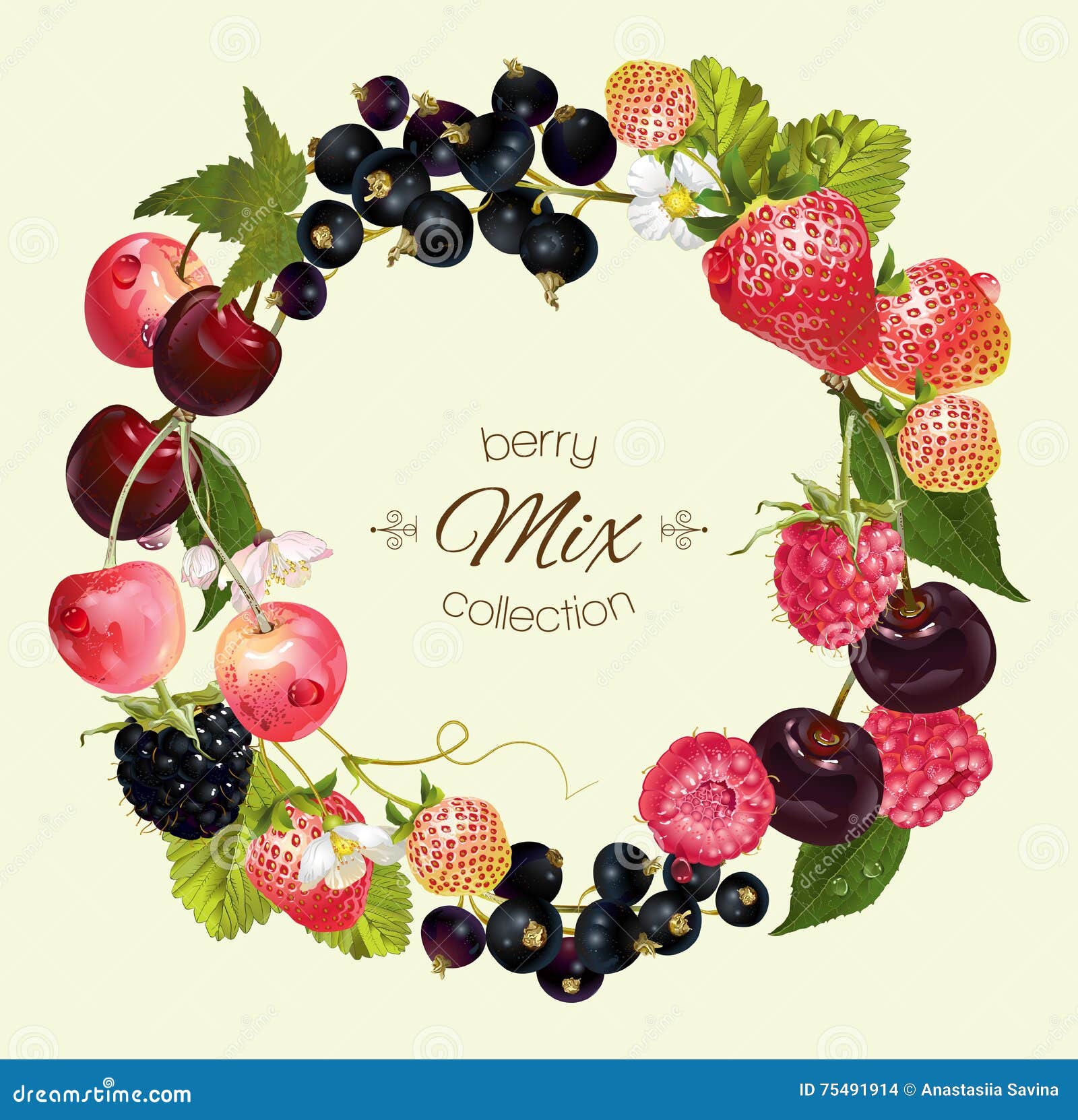 Cherry Berry Frame Round Stock Illustrations – 491 Cherry Berry Frame ...