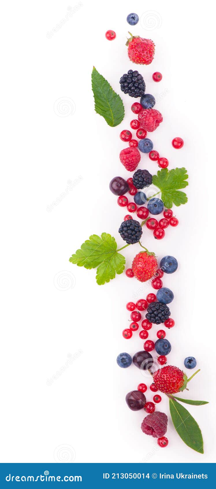 Berry Mix Isolated on a White Background Stock Photo - Image of fruit ...