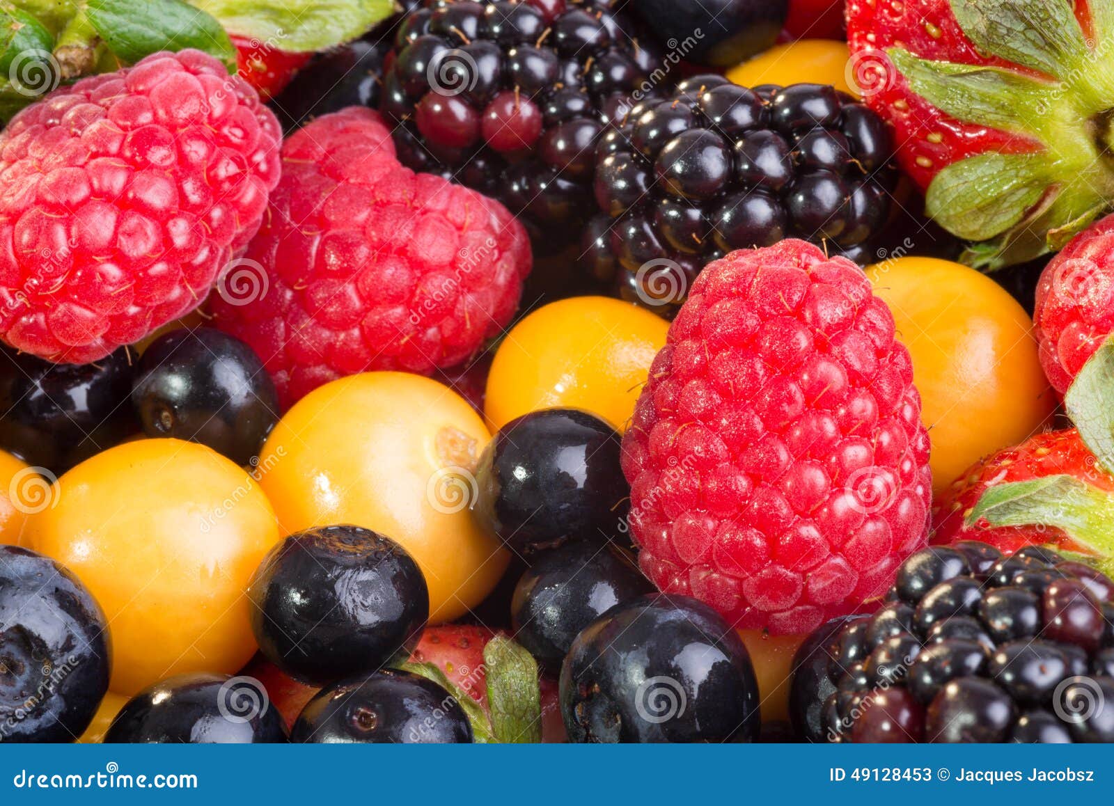 Berry Mix stock image. Image of natural, berries, skins - 49128453