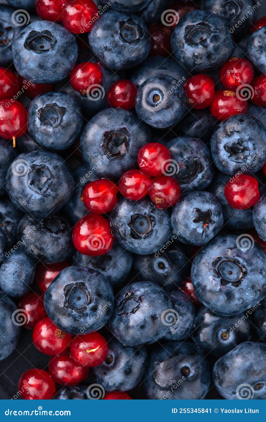 Berry Pattern. Fresh Summer Berries Mix Background with Blue Berries ...