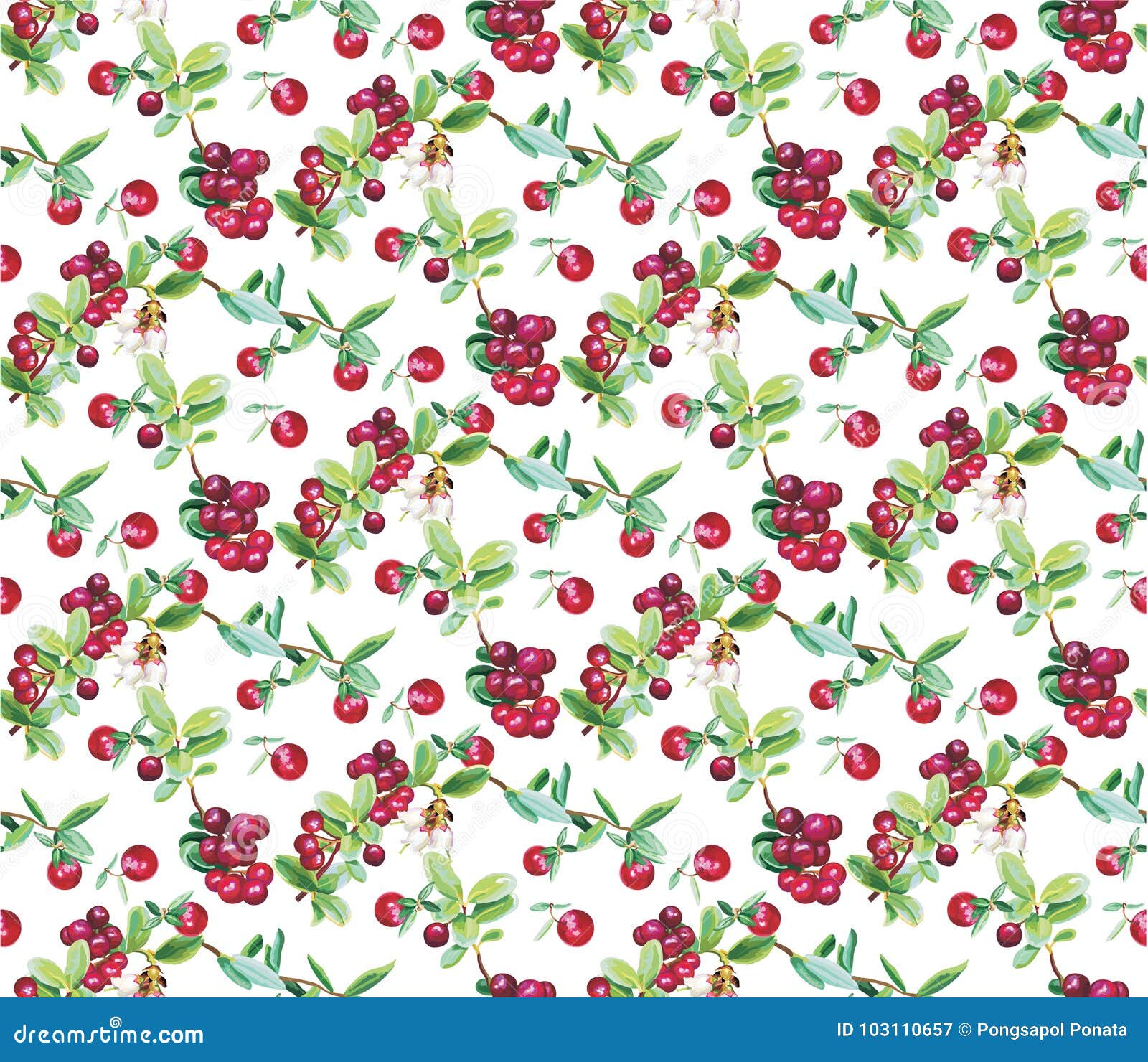 Berry pattern painting s stock illustration. Illustration of badge ...