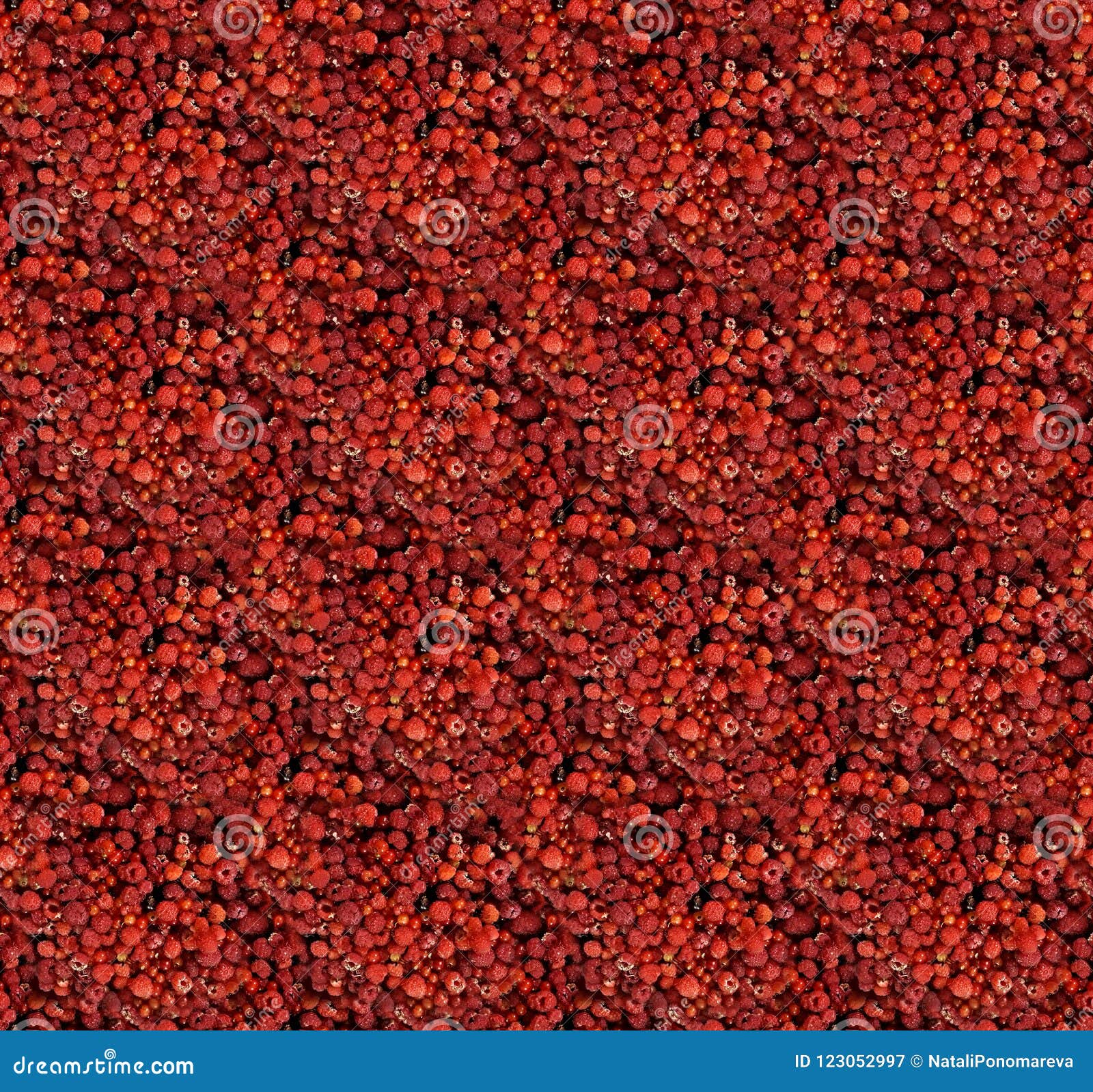 Berry raspberry stock image. Image of aroma, summer - 123052997