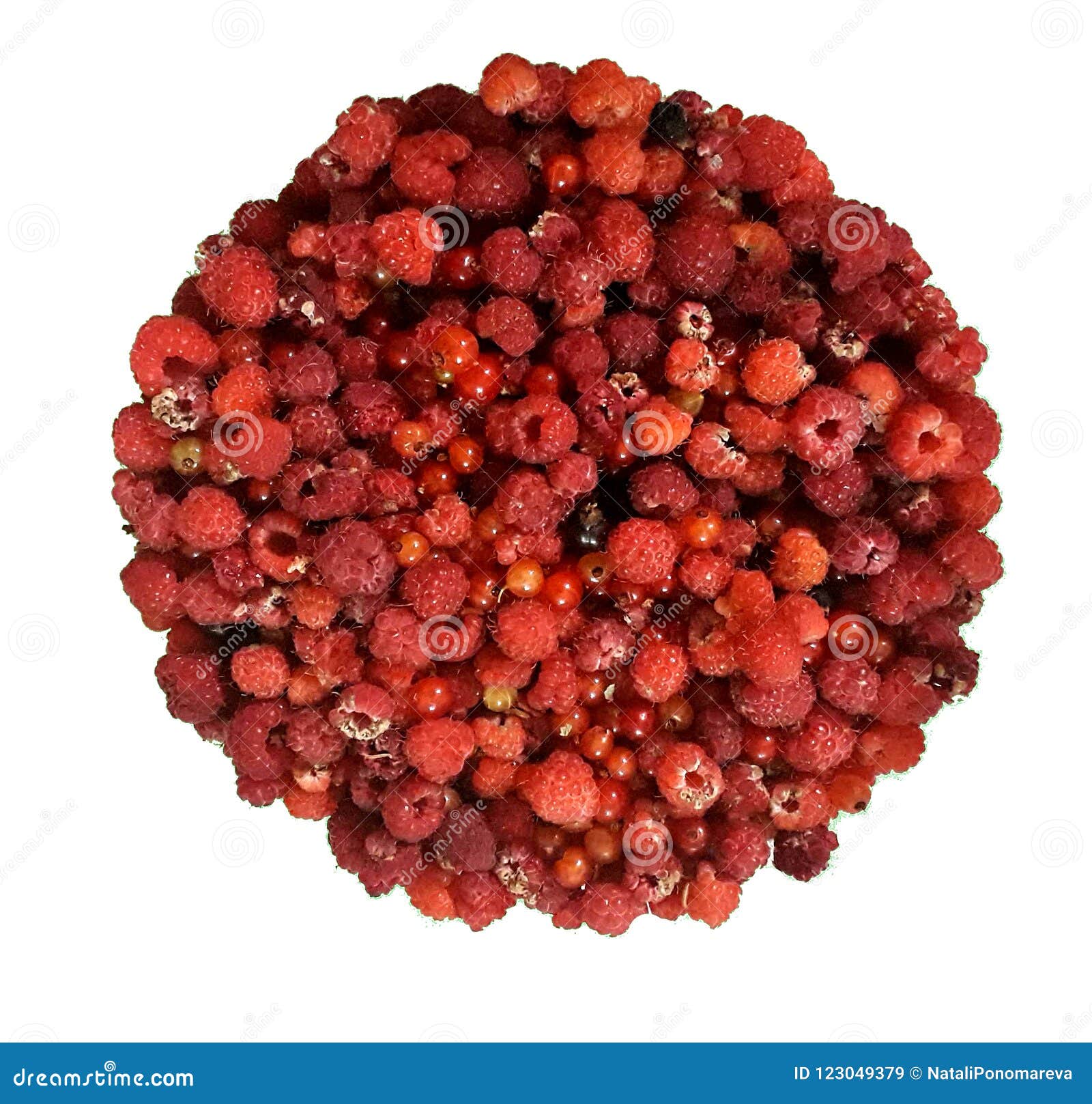 Raspberry berry - circle stock image. Image of wine - 123049379