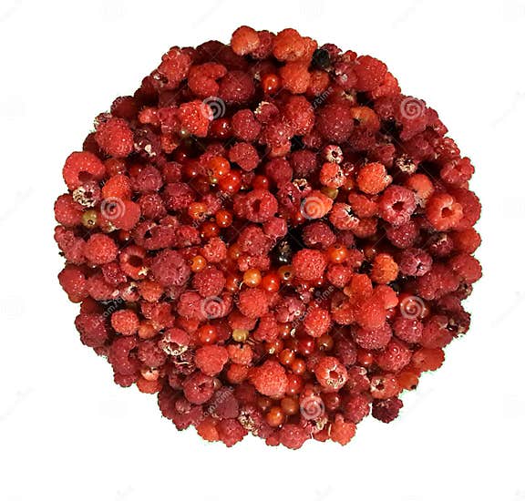 Raspberry berry - circle stock image. Image of wine - 123049379