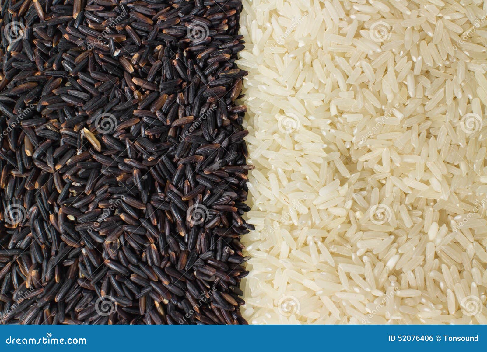 Berry rice, white rice stock photo. Image of macro, mixture - 52076406