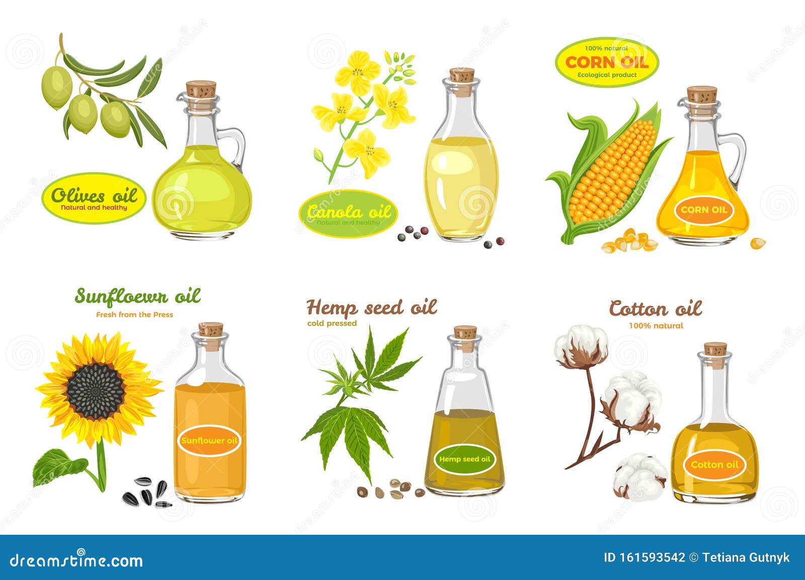 Vector Set of Seed Oils Isolated on White. Illustration in Flat Style ...