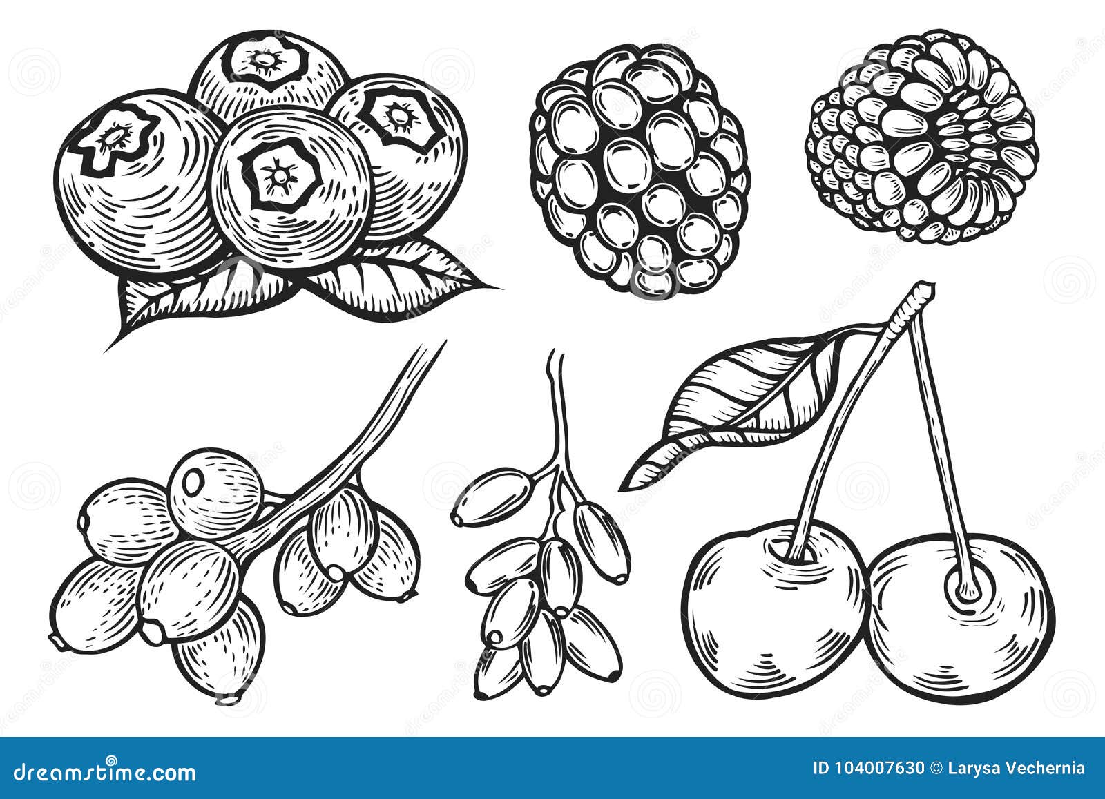 Berry set illustration stock vector. Illustration of blueberry - 104007630