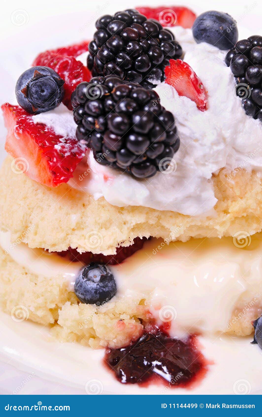Berry shortcake stock image. Image of sweet, treat, whipped - 11144499