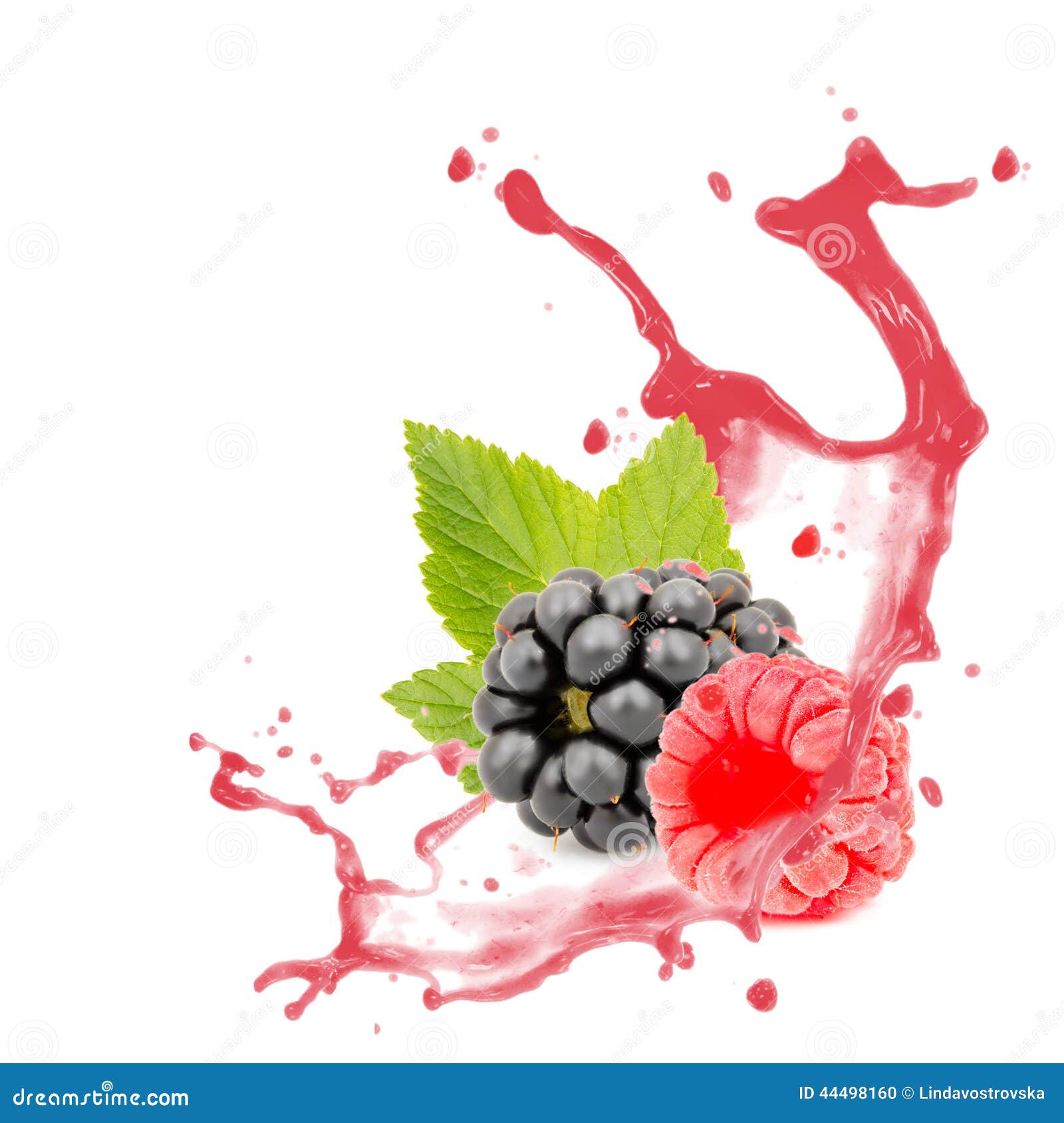 Berry splash stock photo. Image of berry, black, motion - 44498160