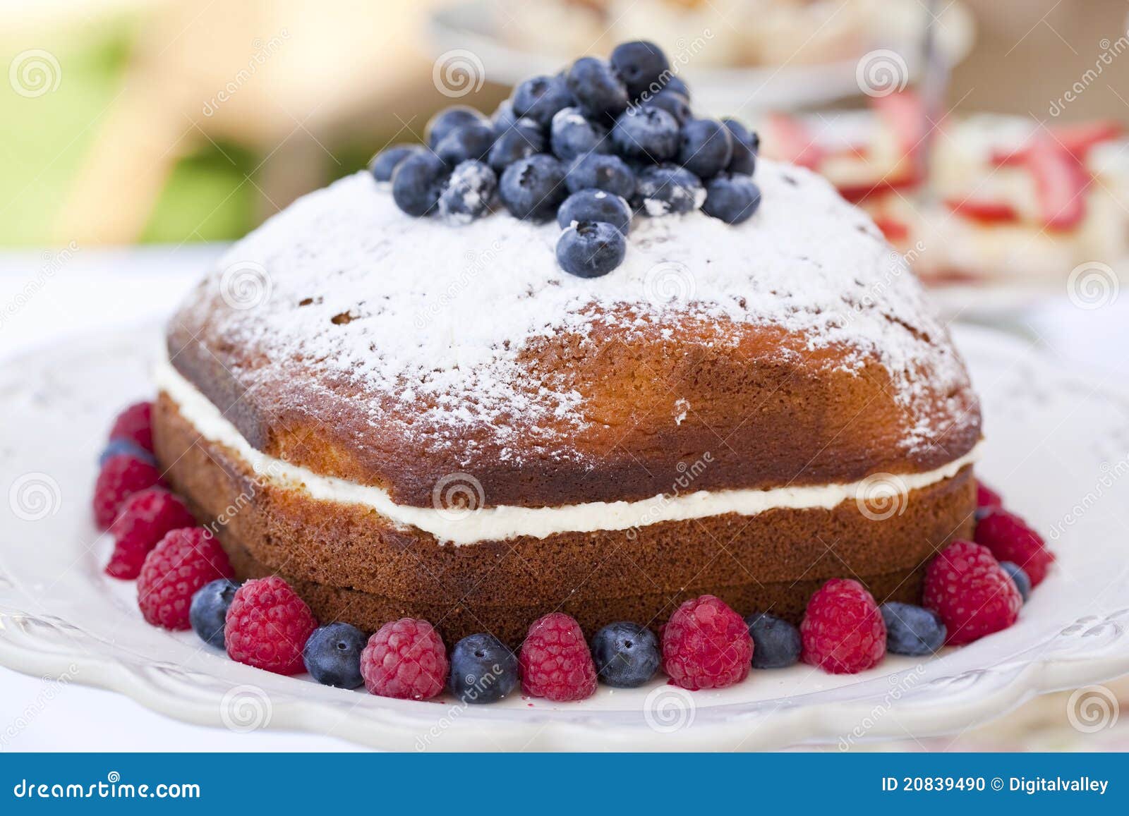 Berry Sponge Cake stock photo. Image of blueberry, party - 20839490