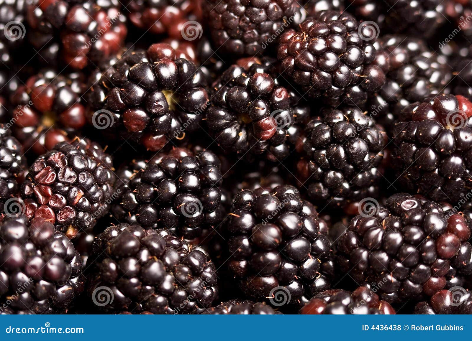 Berry time stock photo. Image of gourmet, tasty, diet - 4436438