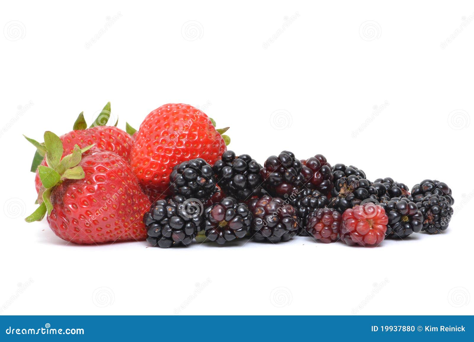 1,740 Berry Types Photos - Free & Royalty-Free Stock Photos from Dreamstime