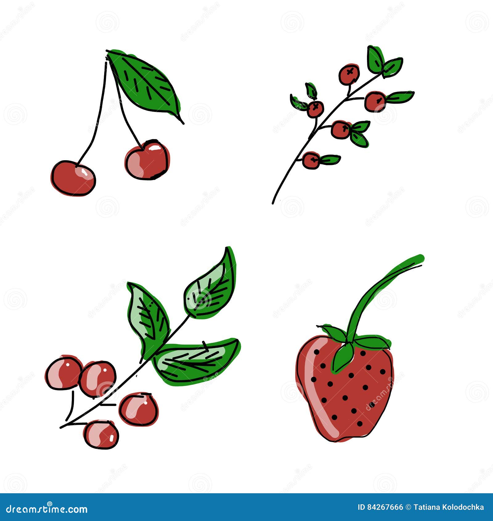 Berry, vector illustration stock vector. Illustration of ingredient ...