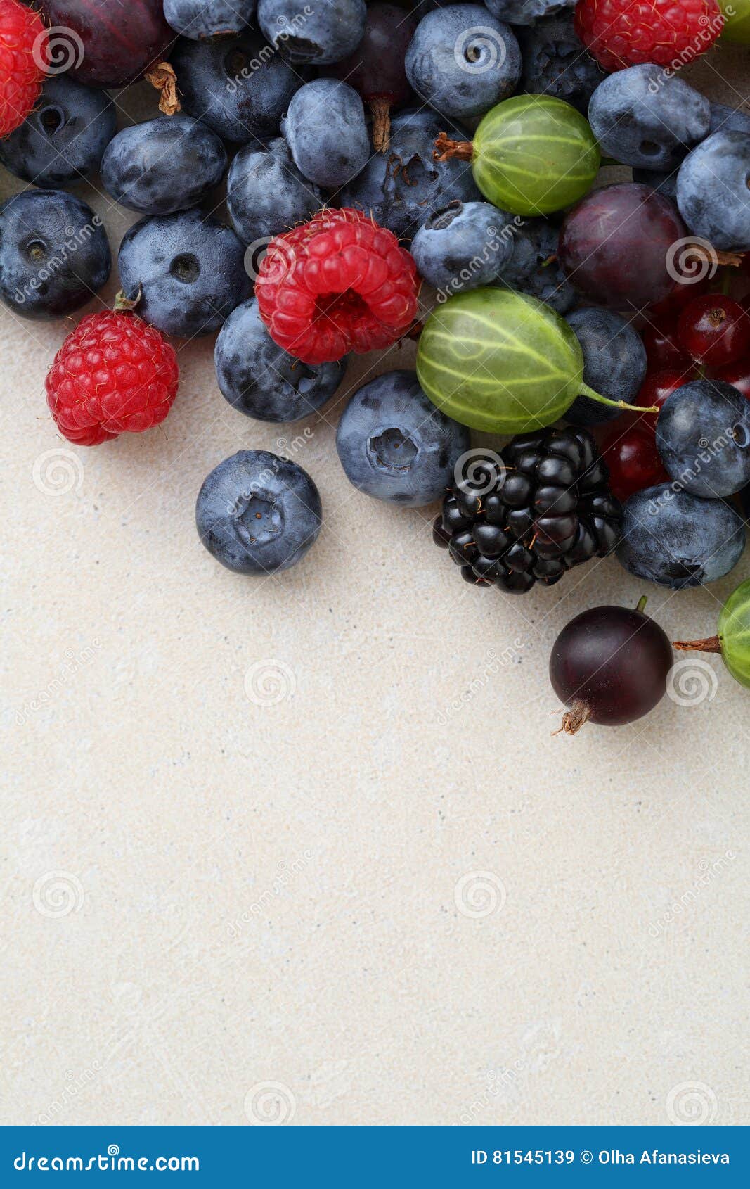 Berry white background stock image. Image of blackberry - 81545139
