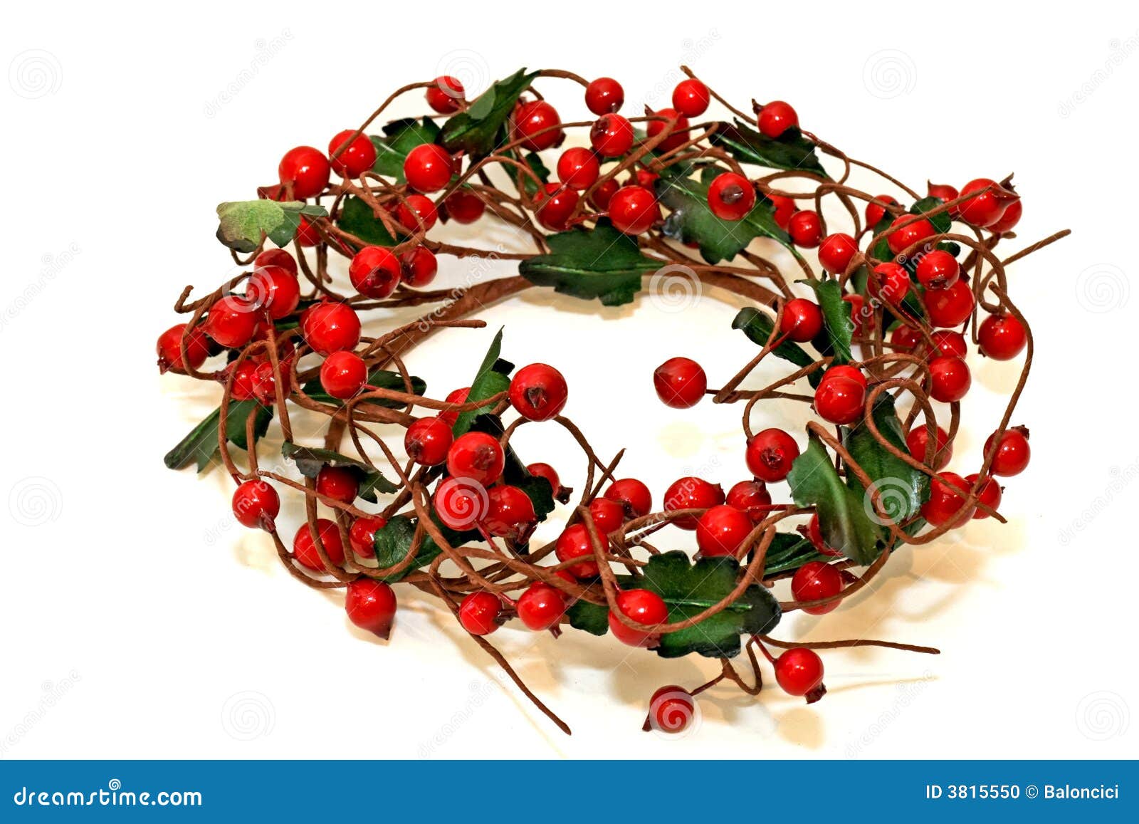 Berry wreath stock photo. Image of decoration, plant, berry - 3815550
