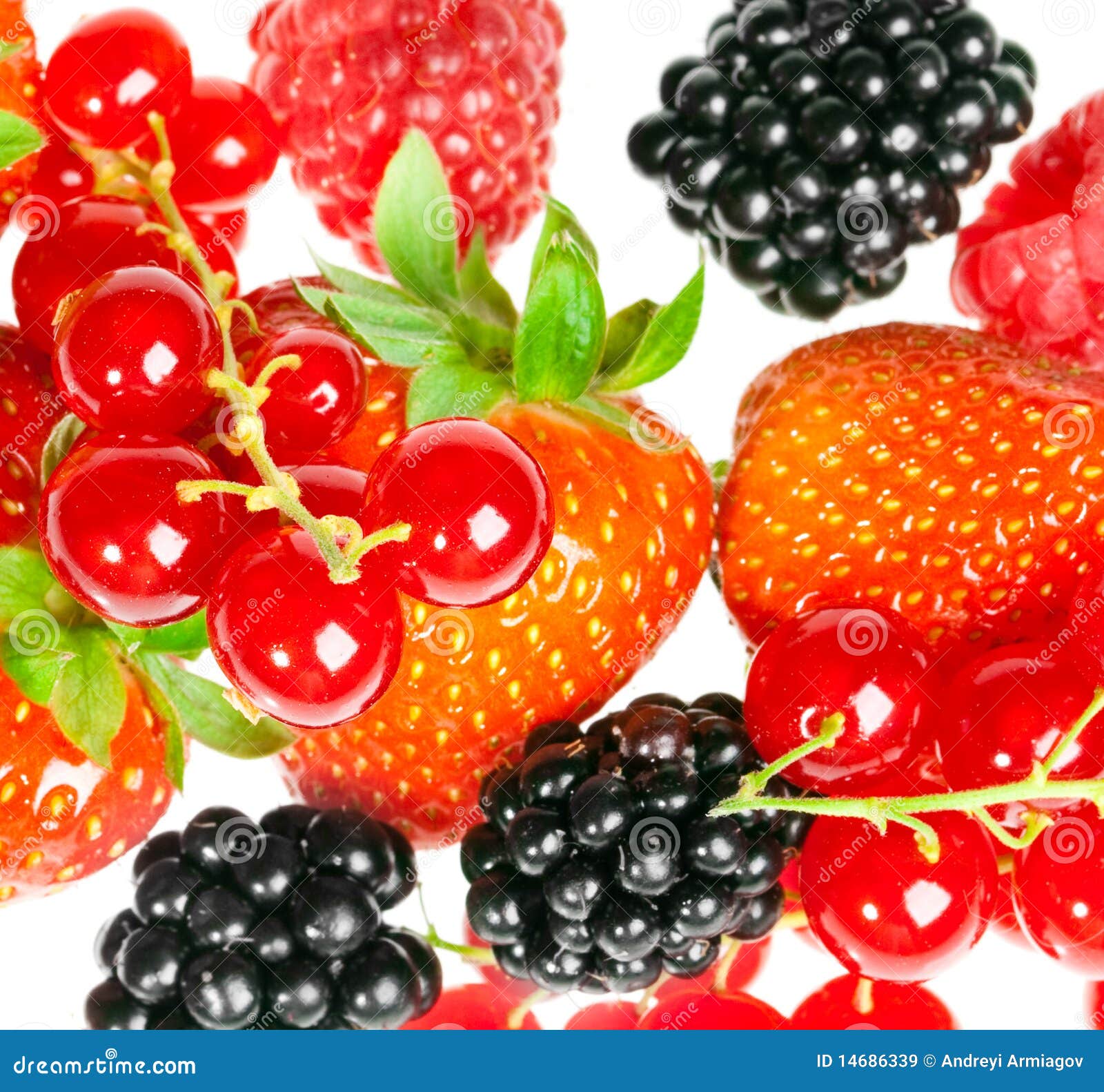 Berrys stock image. Image of food, large, vegetarian - 14686339