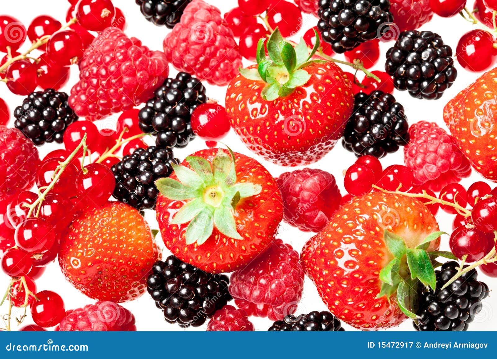 Berrys stock image. Image of berry, organic, ripe, blackberry - 15472917