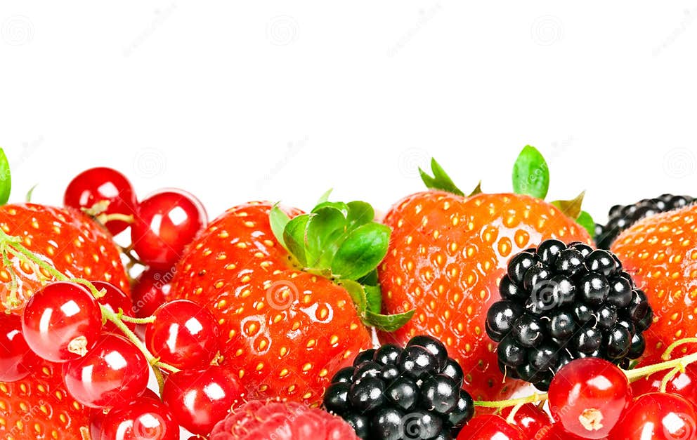 Berrys stock photo. Image of tasting, eating, fruit, strawberry - 15588130