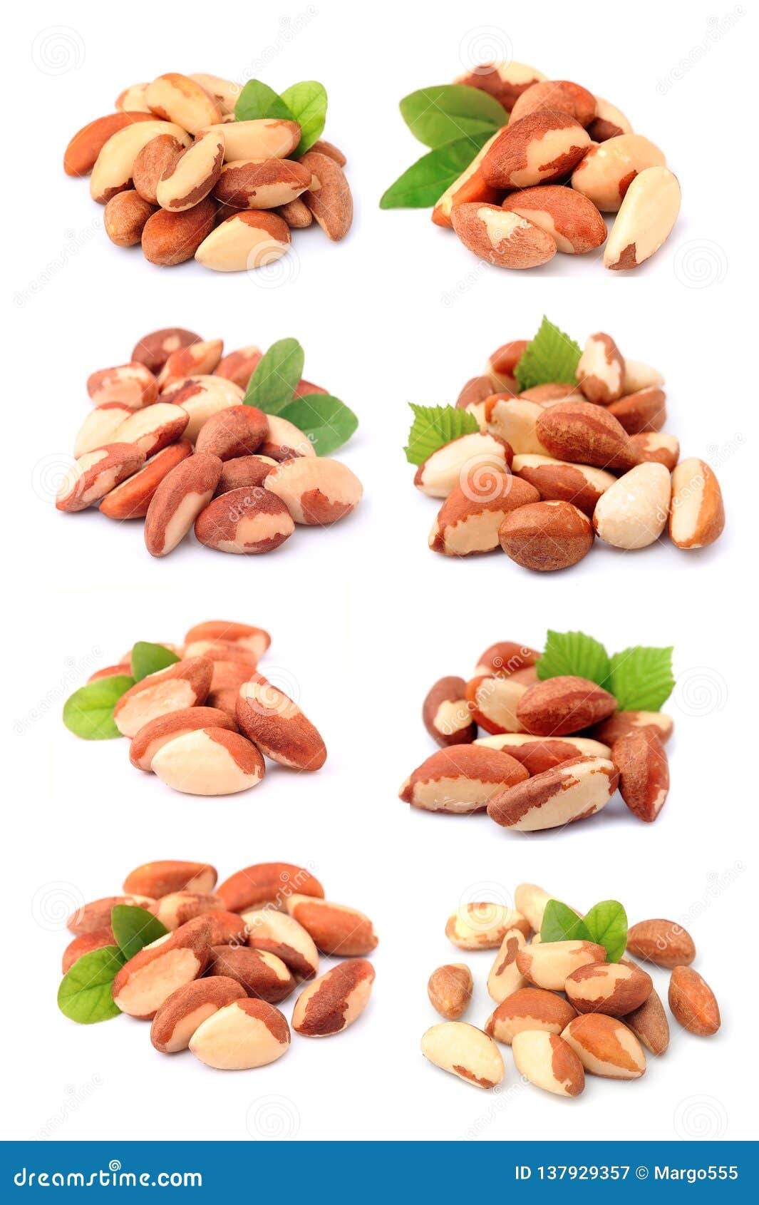 Bertholletia.Collage Brazil Nuts Stock Image - Image of brazil ...