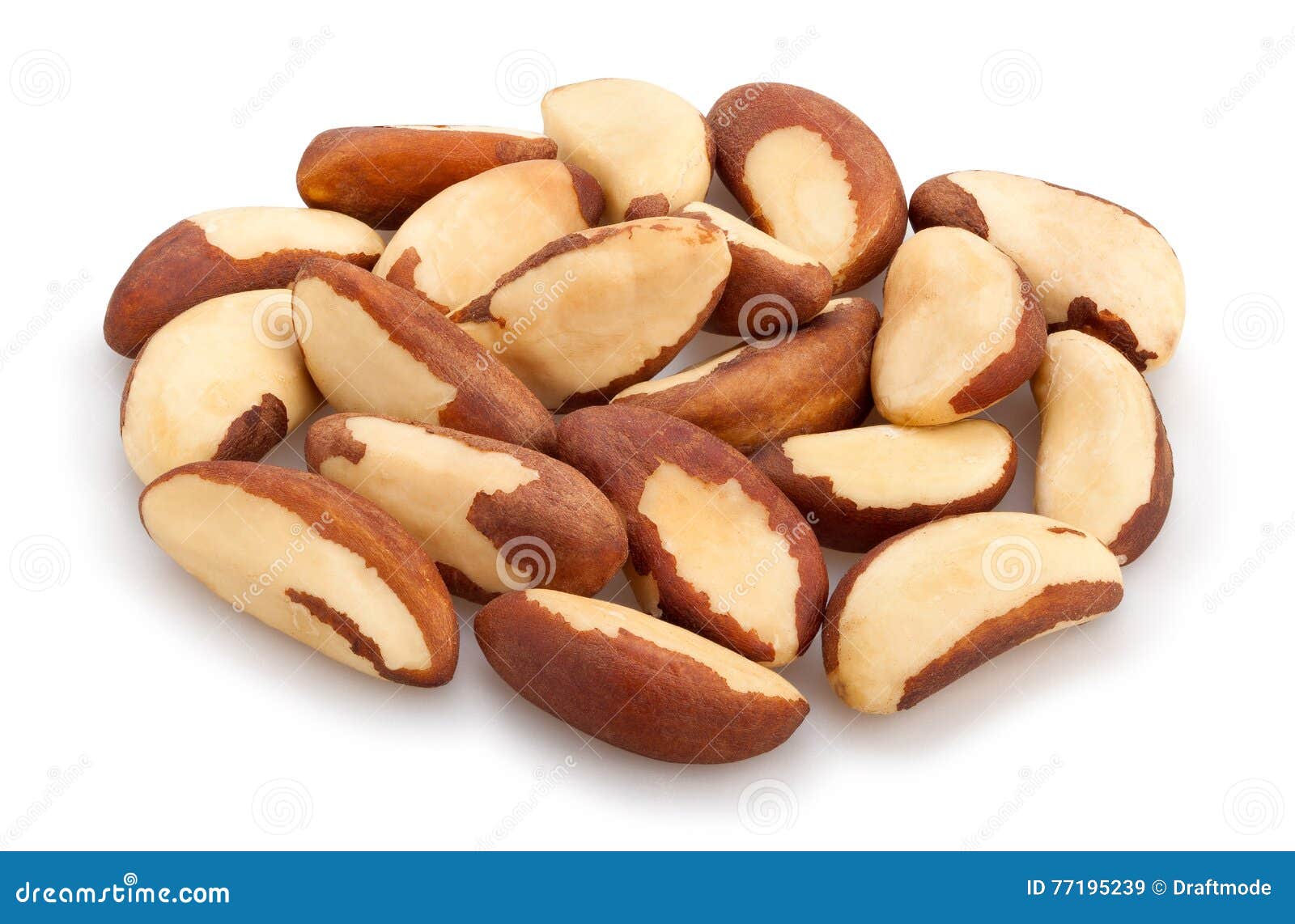 Bertholletiabrazil muttrar fotografering för bildbyråer. Bild av inget ...