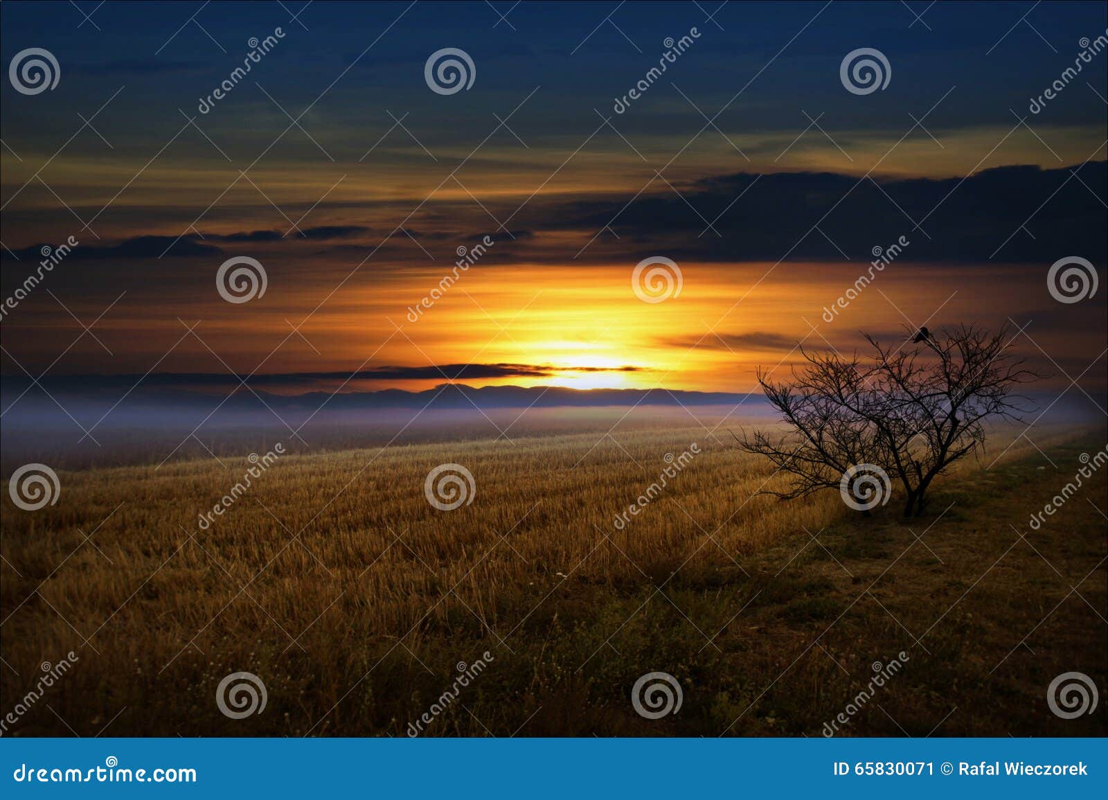 Beruhigende Landschaft stockbild. Bild von beruhigen - 65830071