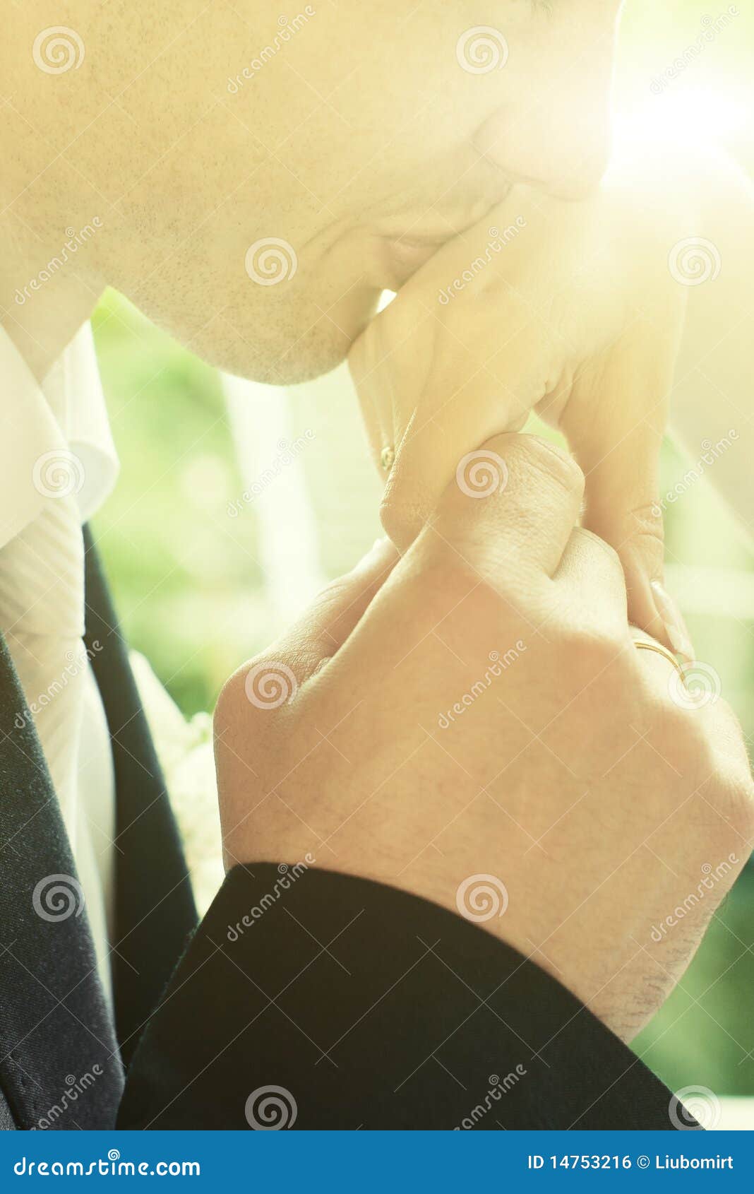 Besar la mano de la novia foto de archivo. Imagen de asoleado - 14753216