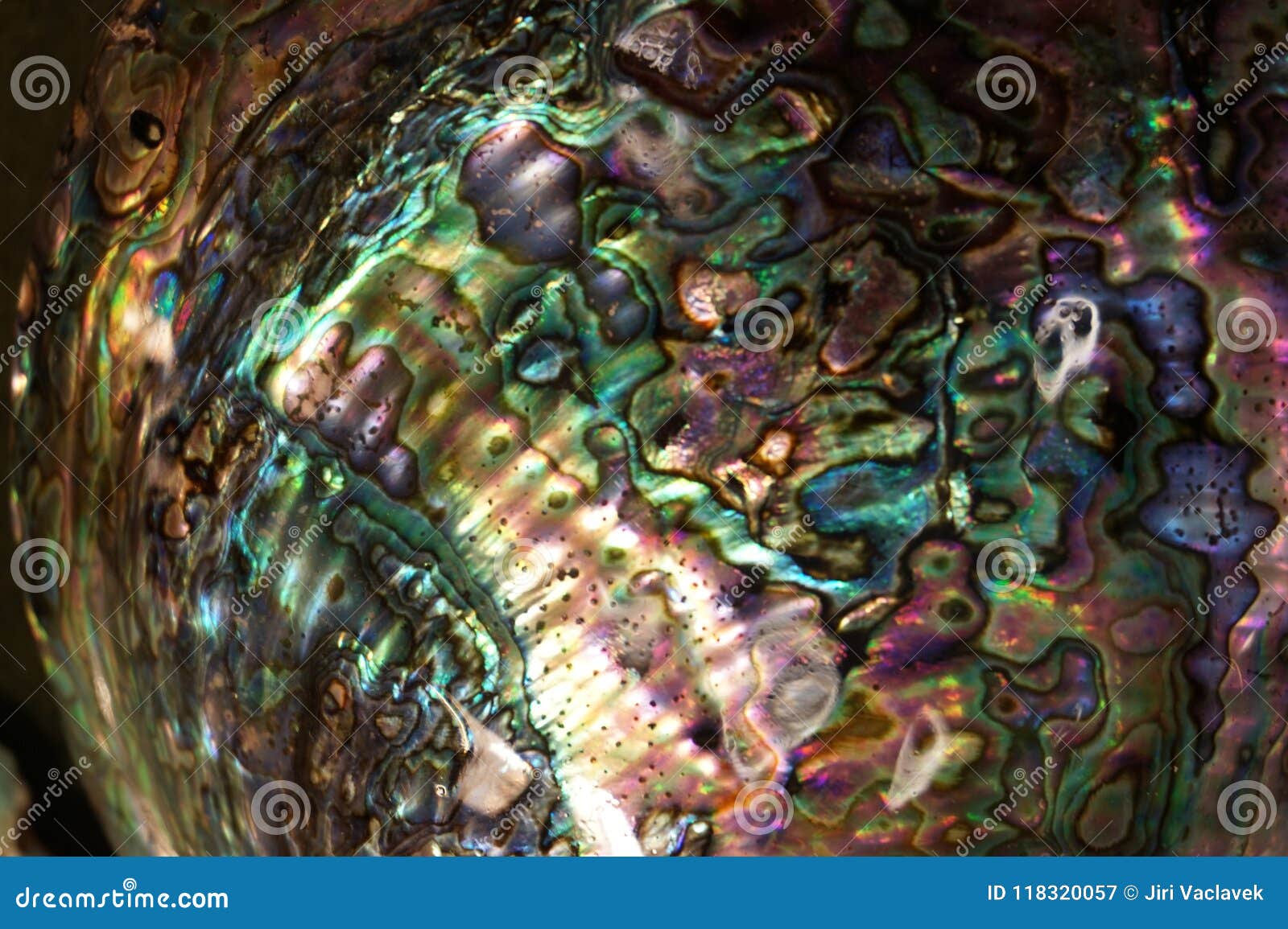 Beschaffenheit Der Echten Perle Stockbild - Bild von nave, irisierend ...