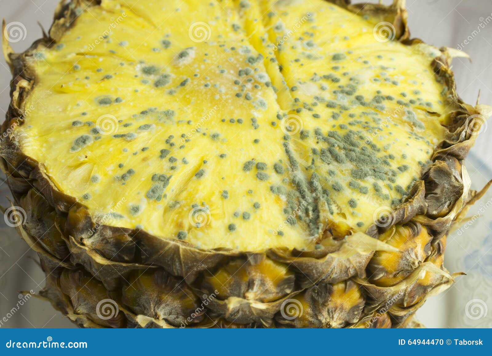 Beschimmelde ananas stock foto. Image of vorm, schimmel - 64944470