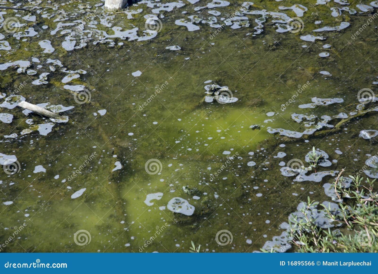 Besmet water stock foto. Image of vernietig, verwoest - 16895566