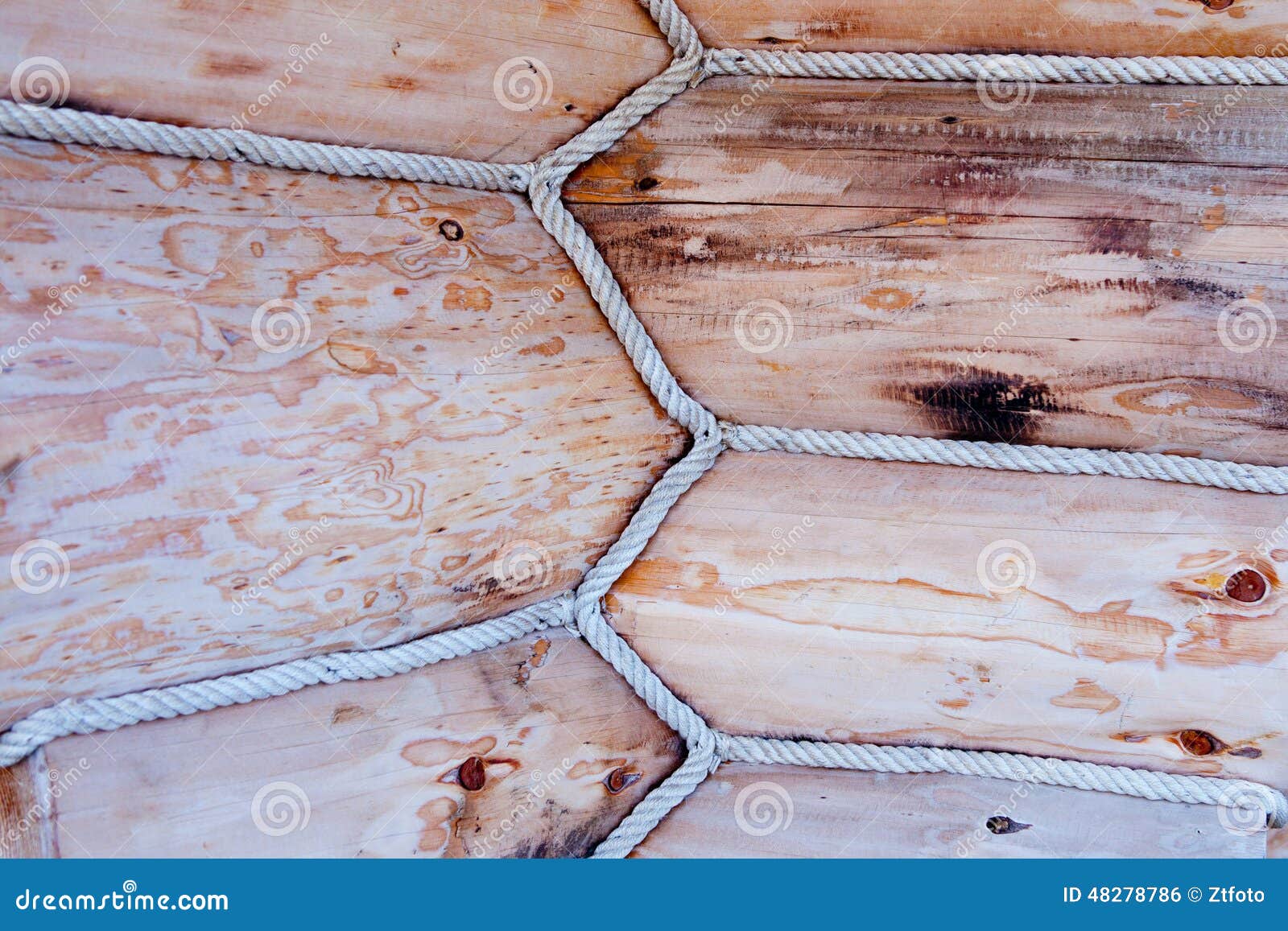 Besnoeiing Van Een Boomstructuur Stock Foto - Image of geschiedenis ...