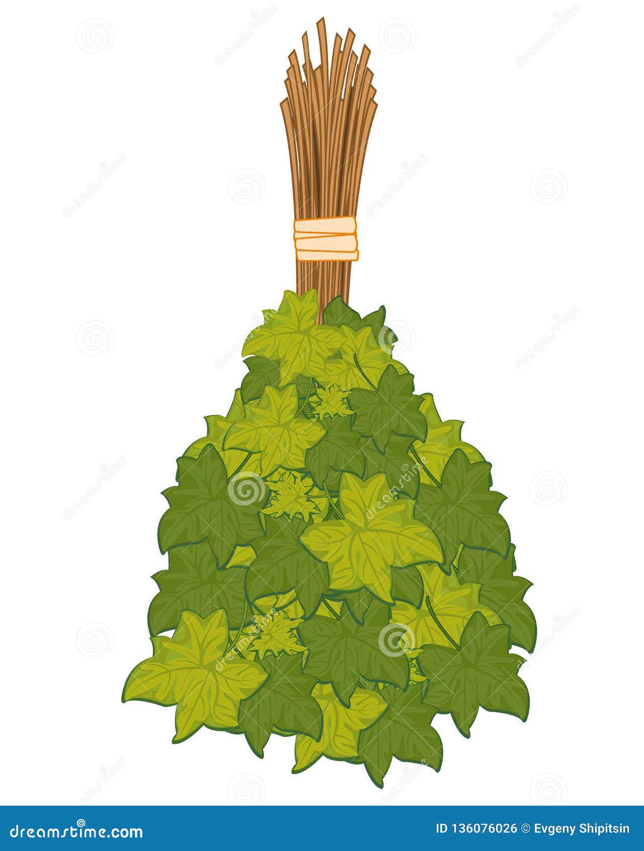 Besom from Foliage for Washing in Bath Stock Vector - Illustration of ...