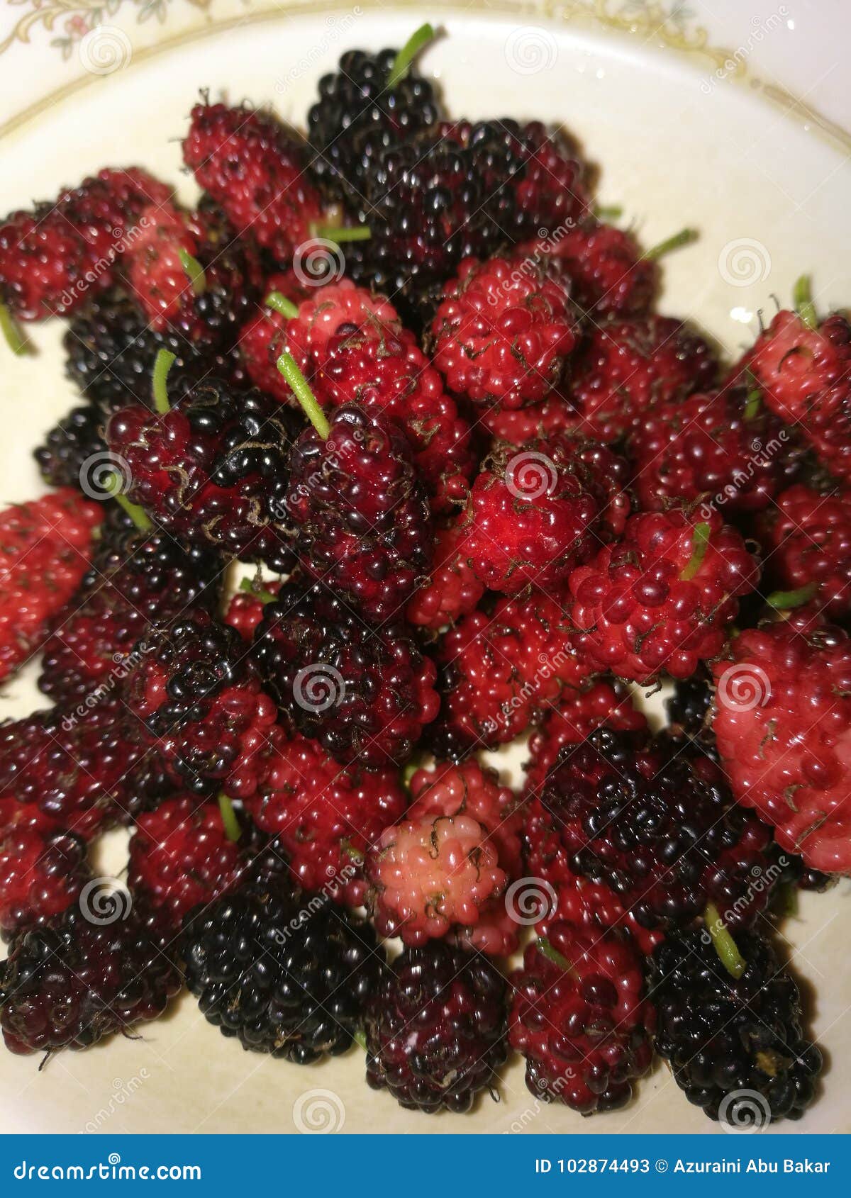 Bessen stock afbeelding. Image of bessen, rood, voedsel - 102874493